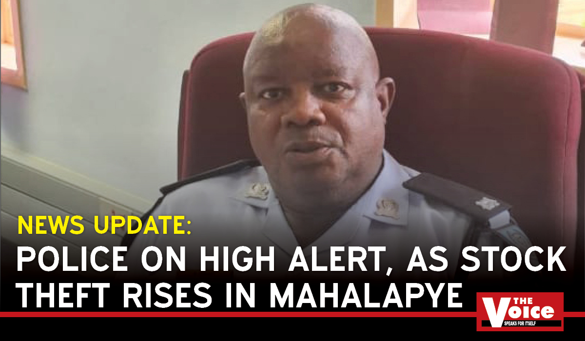 Police on high alert, as stock theft rises in Mahalapye » TheVoiceBW