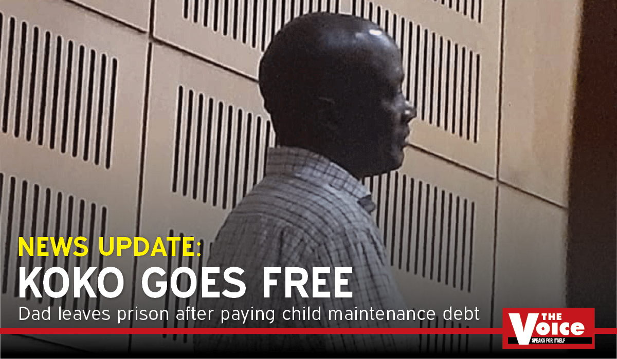 Koko goes free » TheVoiceBW